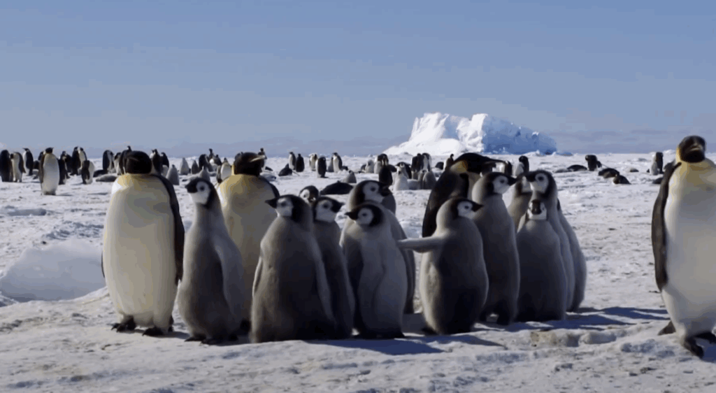 What awaits Earth in the next billion years? - HAWX TECH