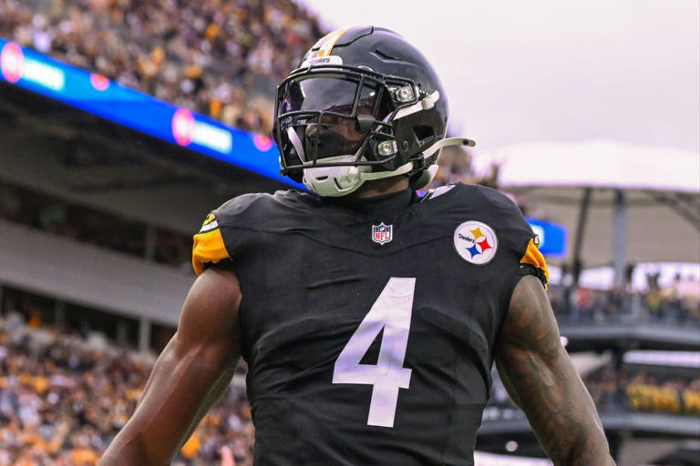 NFL announces punishment for Steelers WR DK Metcalf