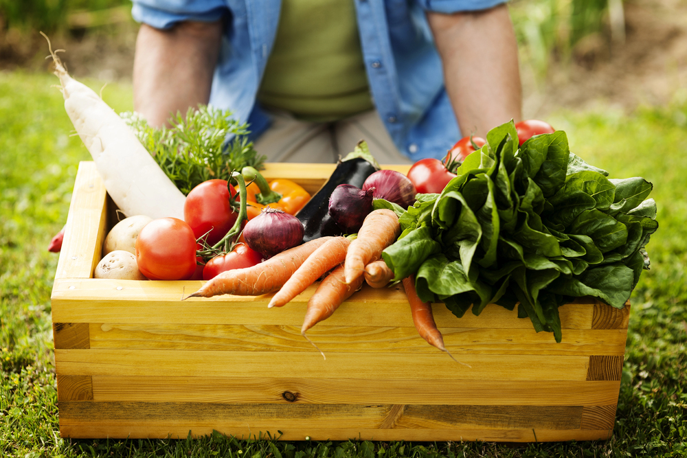 Vegetables that are actually fruits