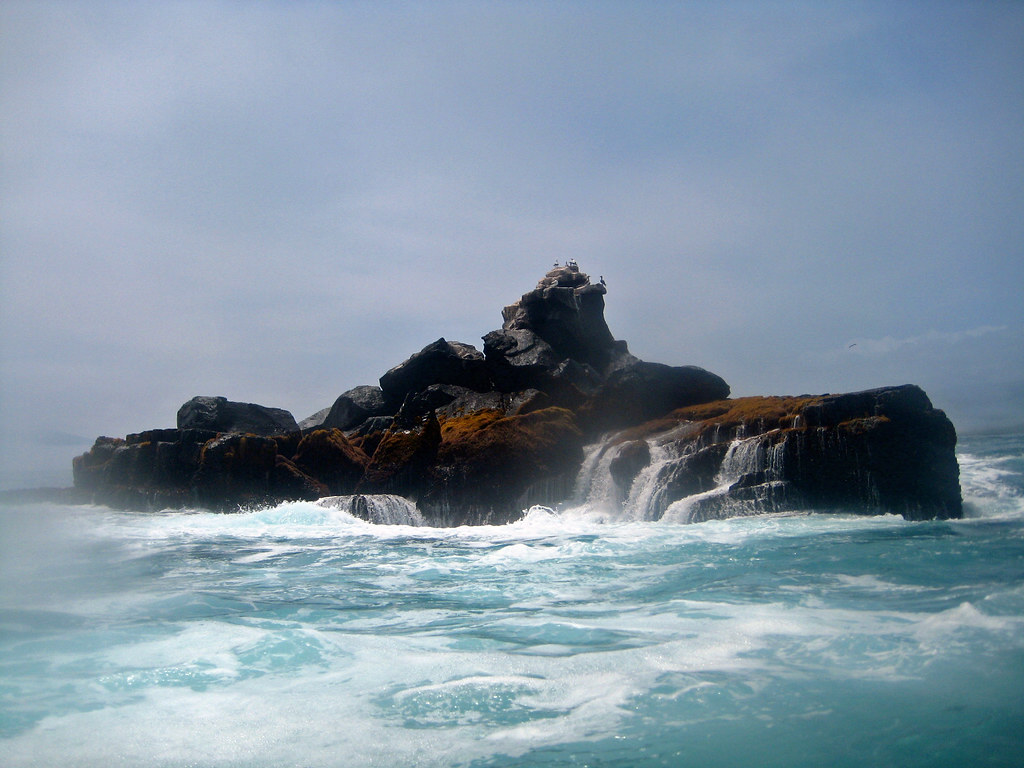 Reasons to visit the Galapagos Islands