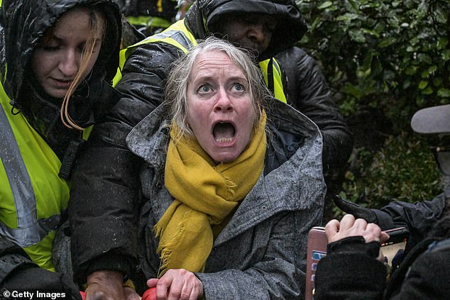 Furious protesters clash with police as trees chopped down by council ...