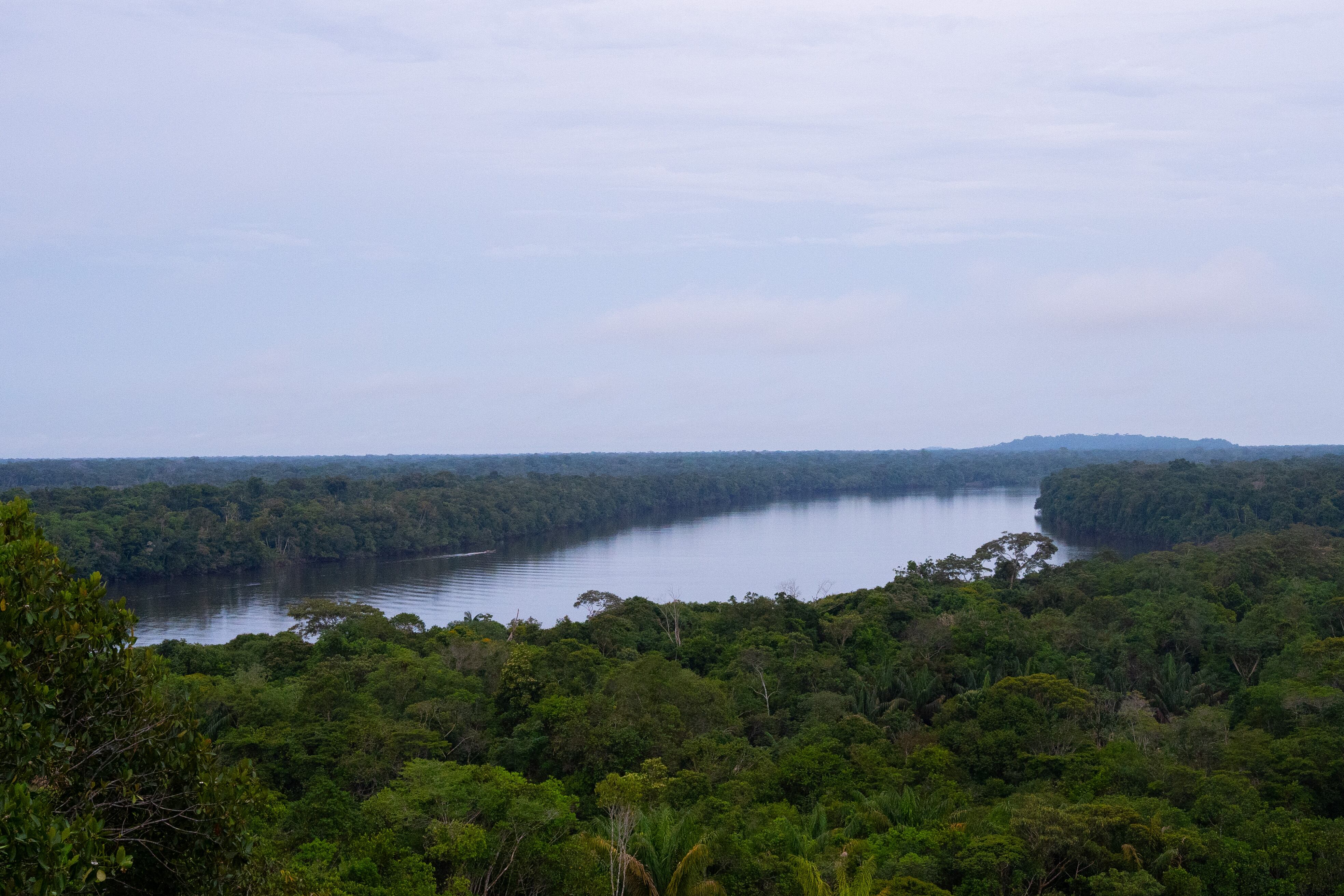 Formalizan más de 500 mil hectáreas para indígenas de la Amazonia