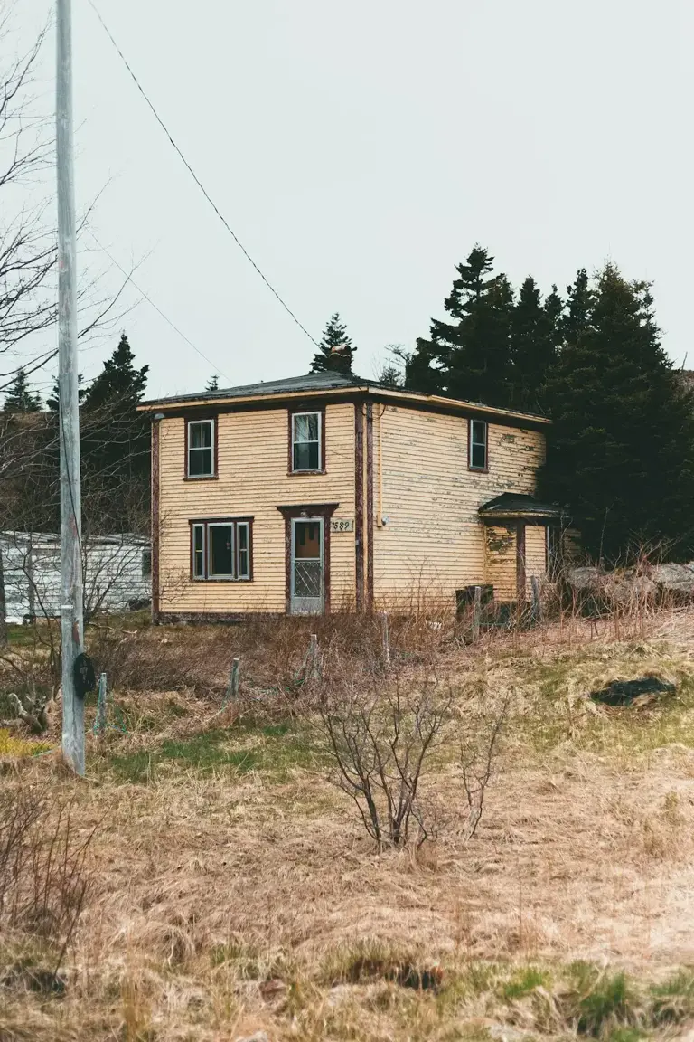The new suburban crisis: McMansions are slowly becoming ghost ...