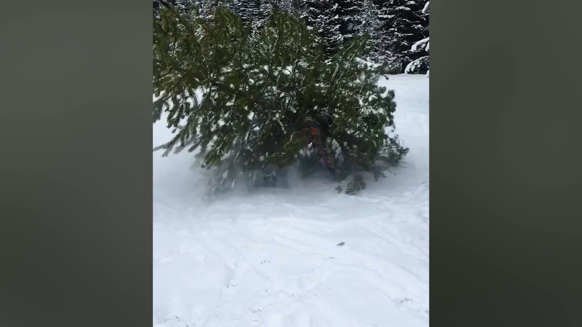 Merry mishaps
