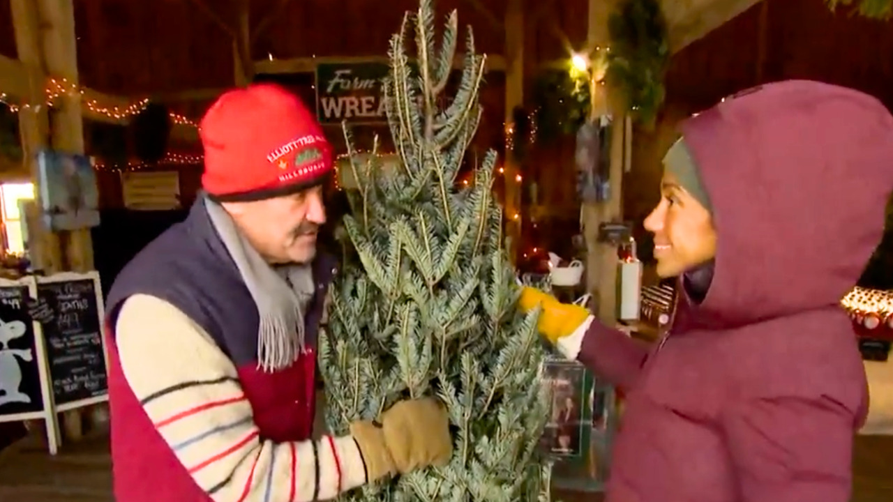 An exclusive look inside Toronto's iconic Elliott Christmas Tree Farm