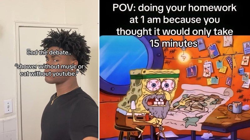 These TikTok screenshots perfectly describe the average internet user