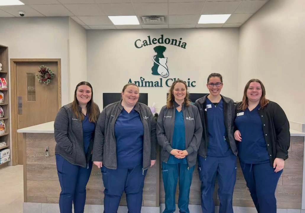 Caledonia vet clinic hosts holiday open house for pets
