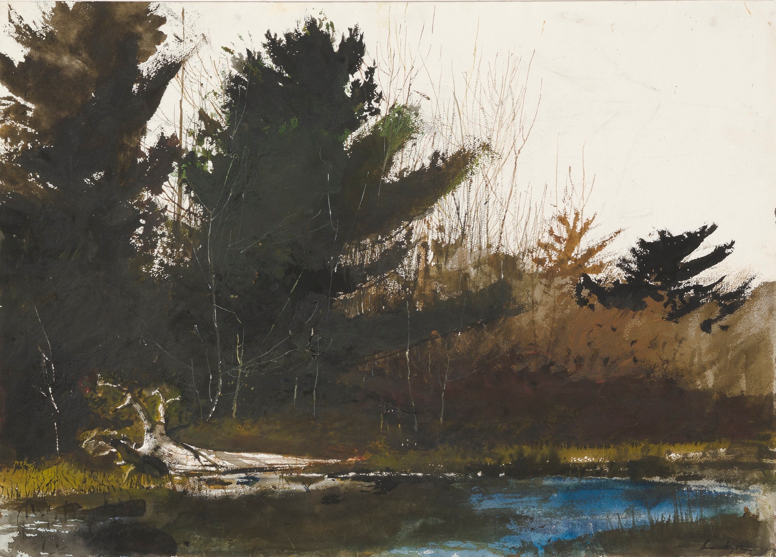 New exhibit features never-before-seen Andrew Wyeth paintings