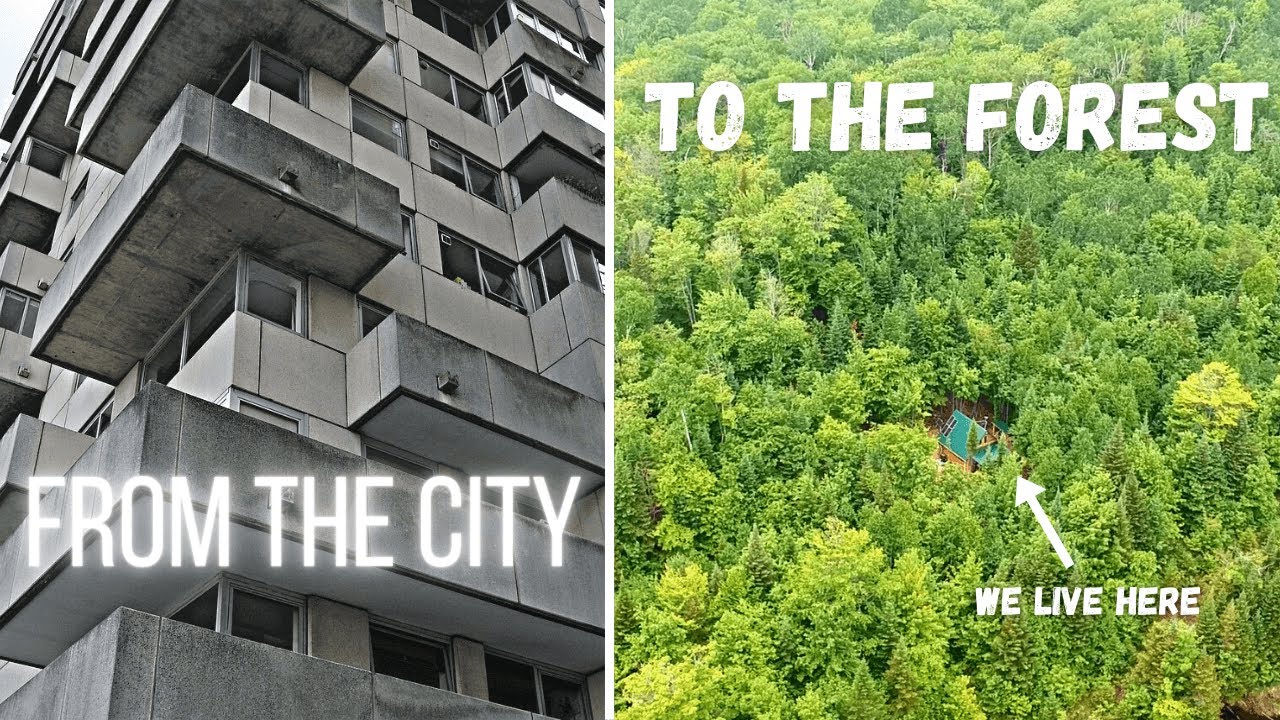 Couple leaves the city to move into a tiny log cabin in the middle of ...