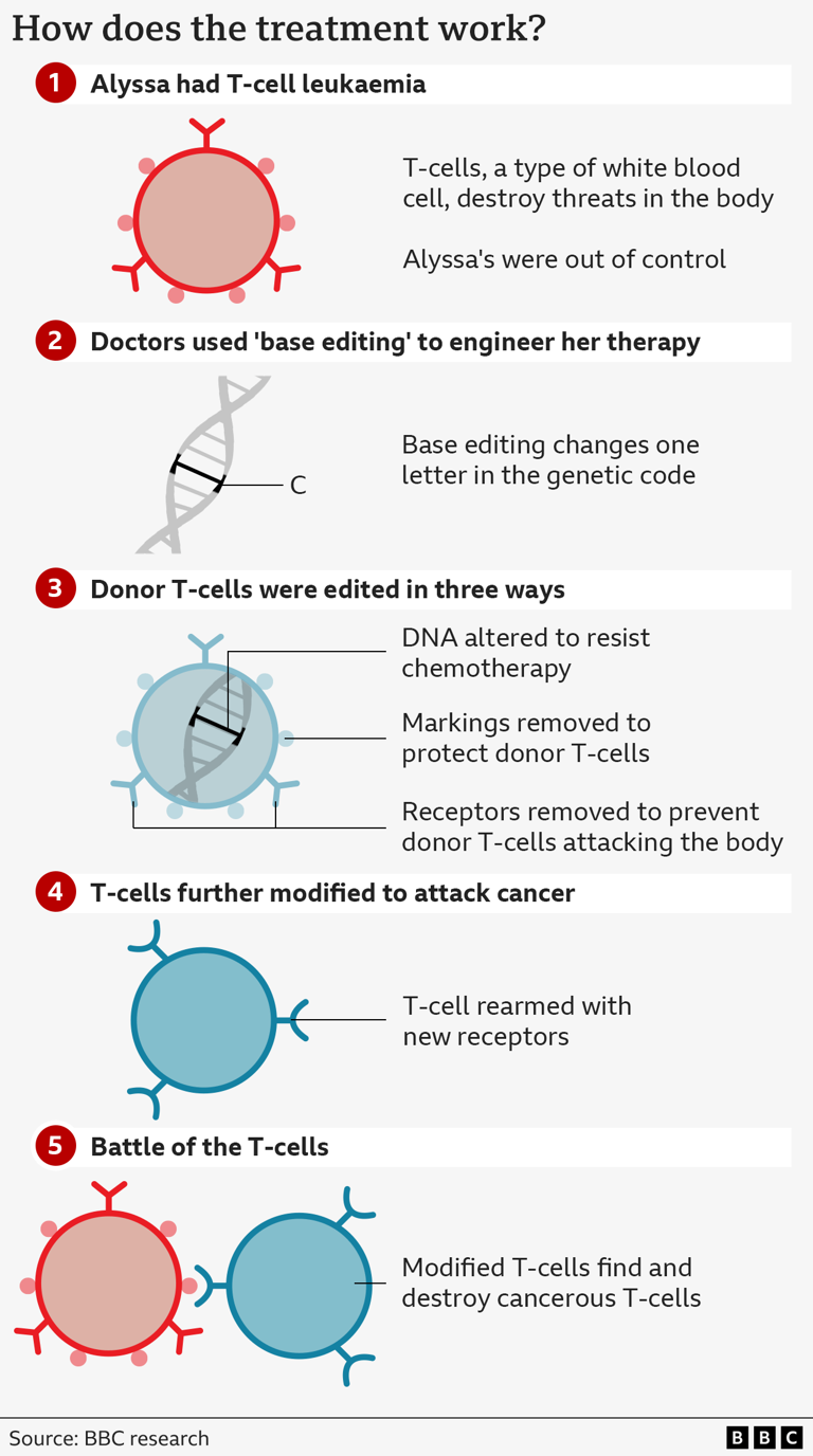 Pioneering new treatment reverses incurable blood cancer in some patients