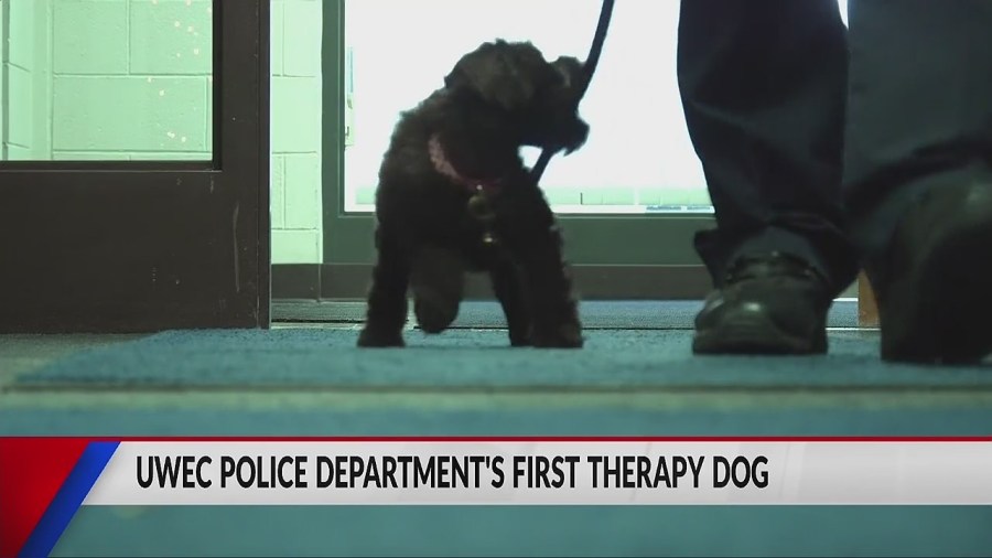 UW Eau Claire PD adds therapy K9 to the team