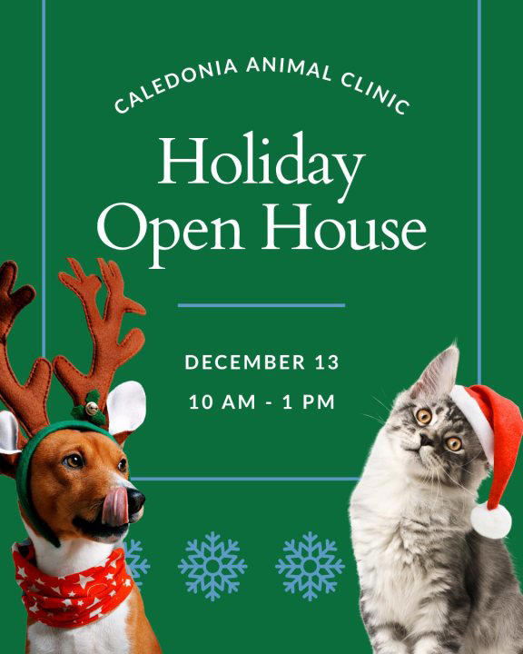 Caledonia vet clinic hosts holiday open house for pets