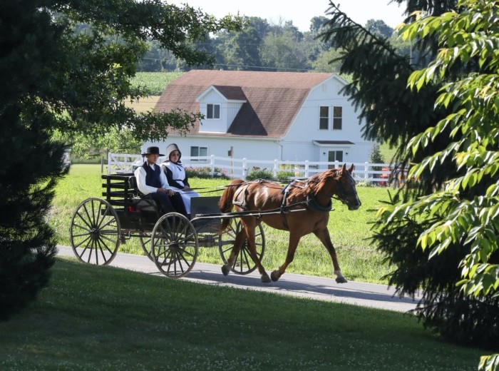 Supreme Court revives Amish challenge to New York student vaccination ...
