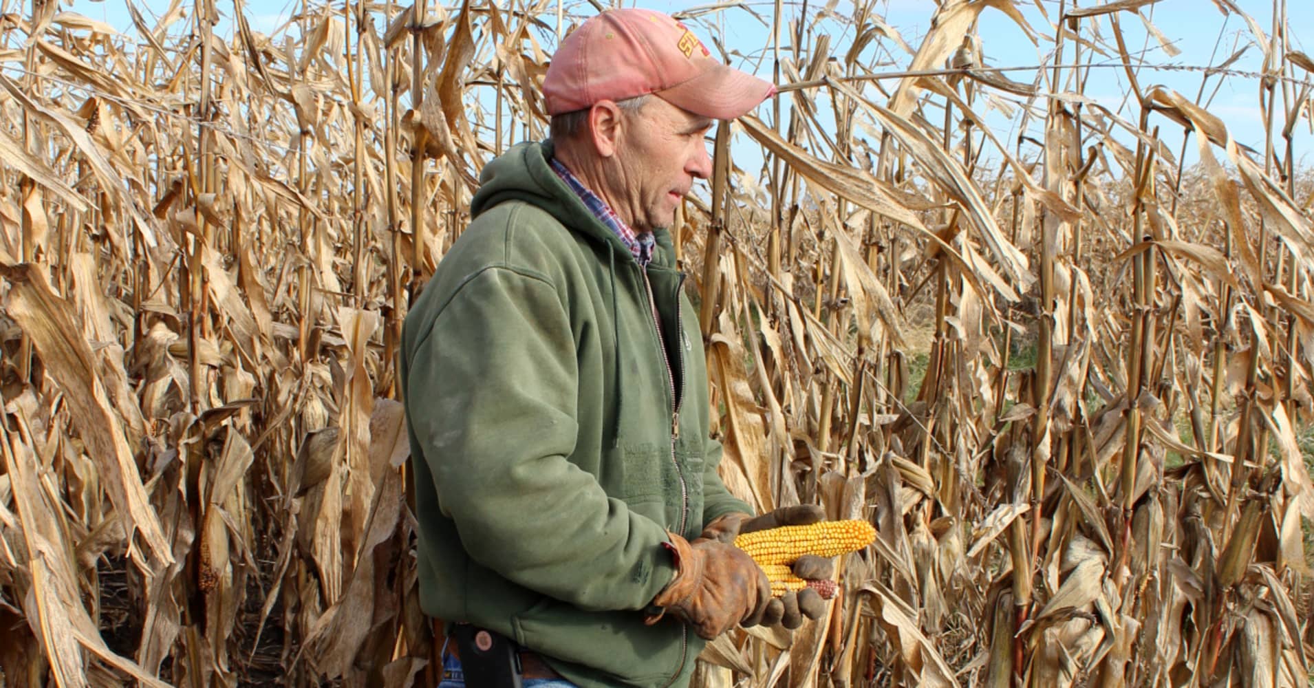 Trump announces $12 billion aid package for farmers caught up in trade war