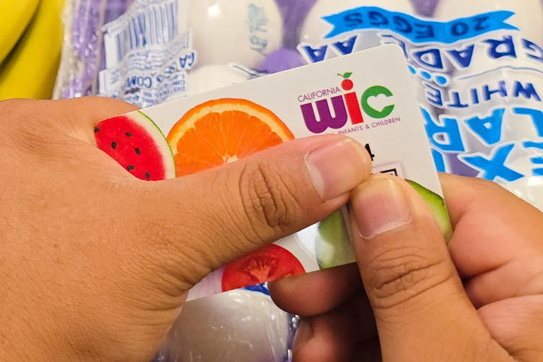Louisiana WIC participation below US average, auditors find