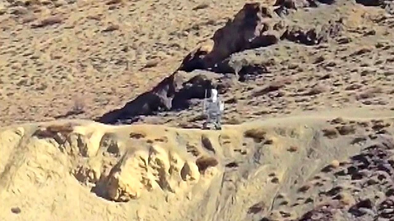 Robots appear on border patrol in surprising sighting