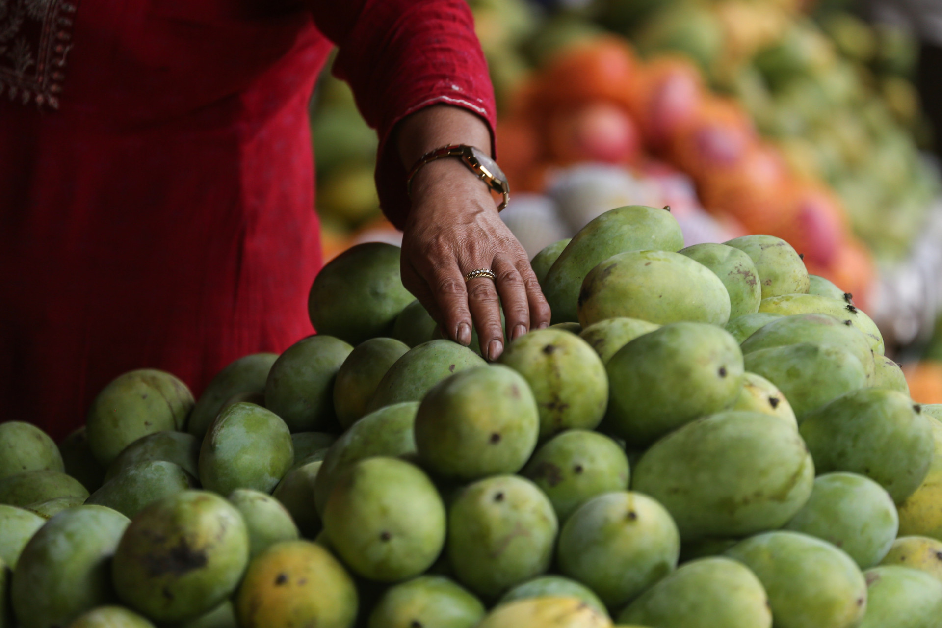 Magnificent meals made with mango