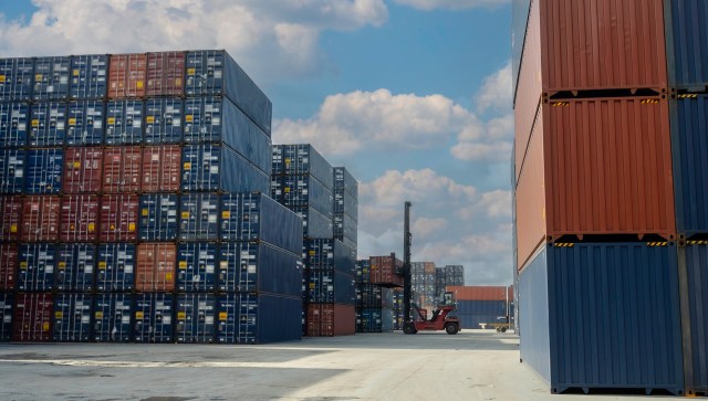 Customs officials intercept alarming discovery after examining ...