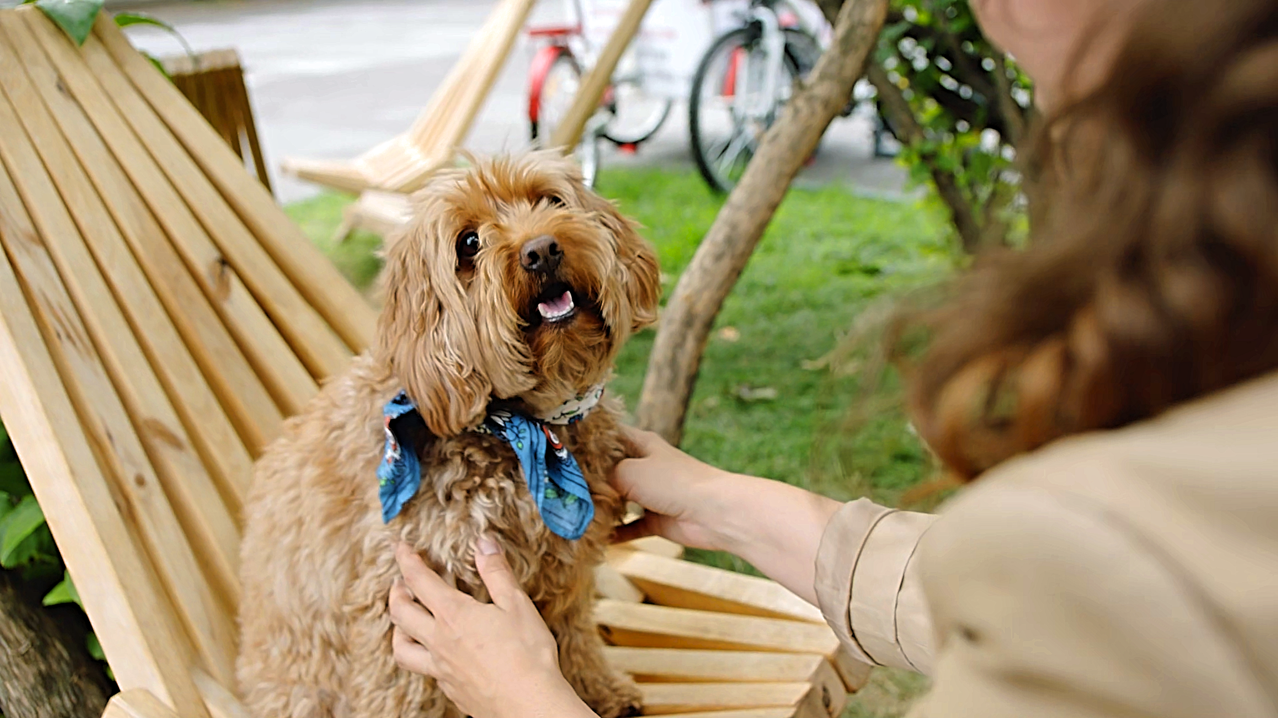 A woman shows affection to a dog and gets an unexpected reaction