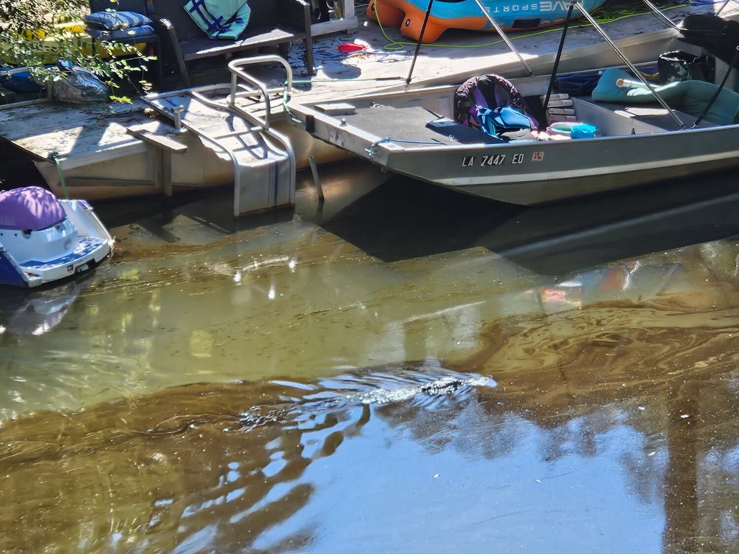 Dozens of oil-covered animals recovered from Smitty’s Supply disaster