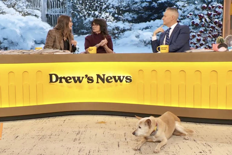 Valerie Bertinelli learns Drew Barrymore’s dog licked her cheese plate ...