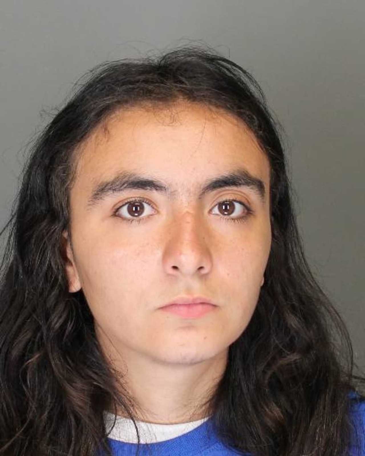 Woman stabs 6-year-old child inside home in Dutchess County, flees: Police