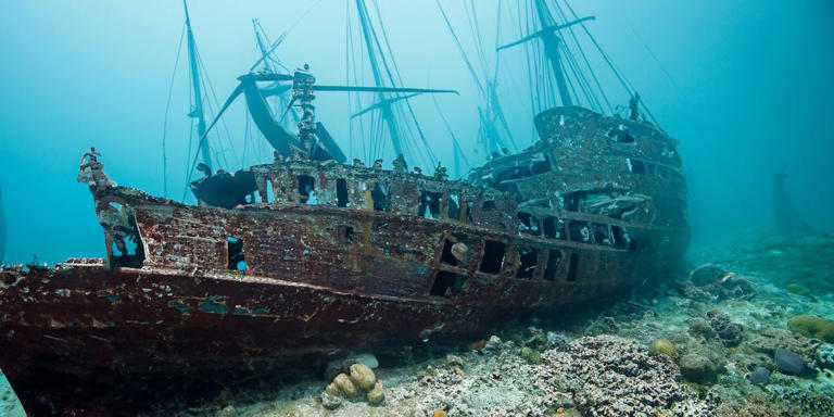 Divers found a lost shipwreck so remarkably preserved, they couldn’t ...