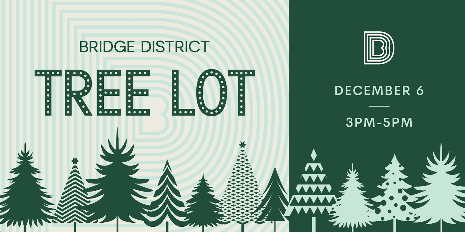 The Bridge District’s holiday tree lot, DC