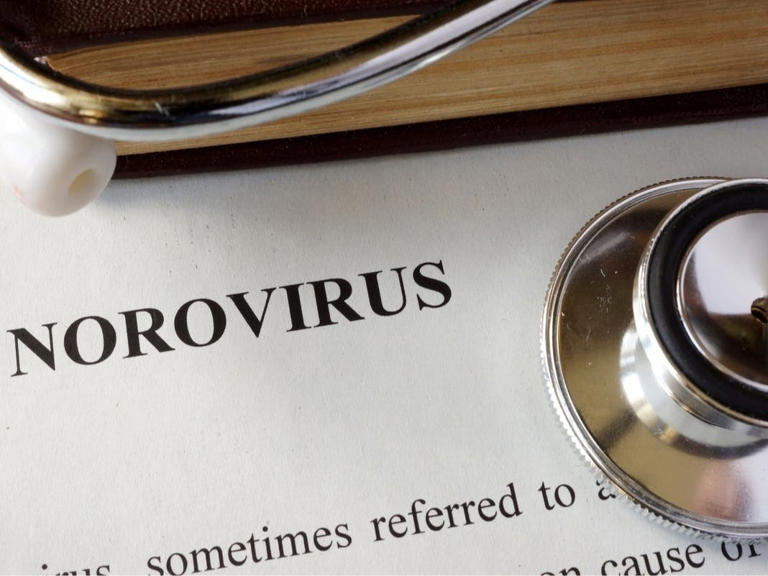 Highly contagious norovirus spreading rapidly in VA: What to know