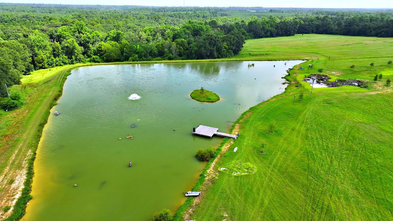 The truth about our 5 acre pond project