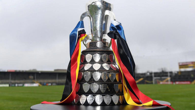 Harty Cup and Corn Uí Mhuirí quarter-final and semi-final pairings ...