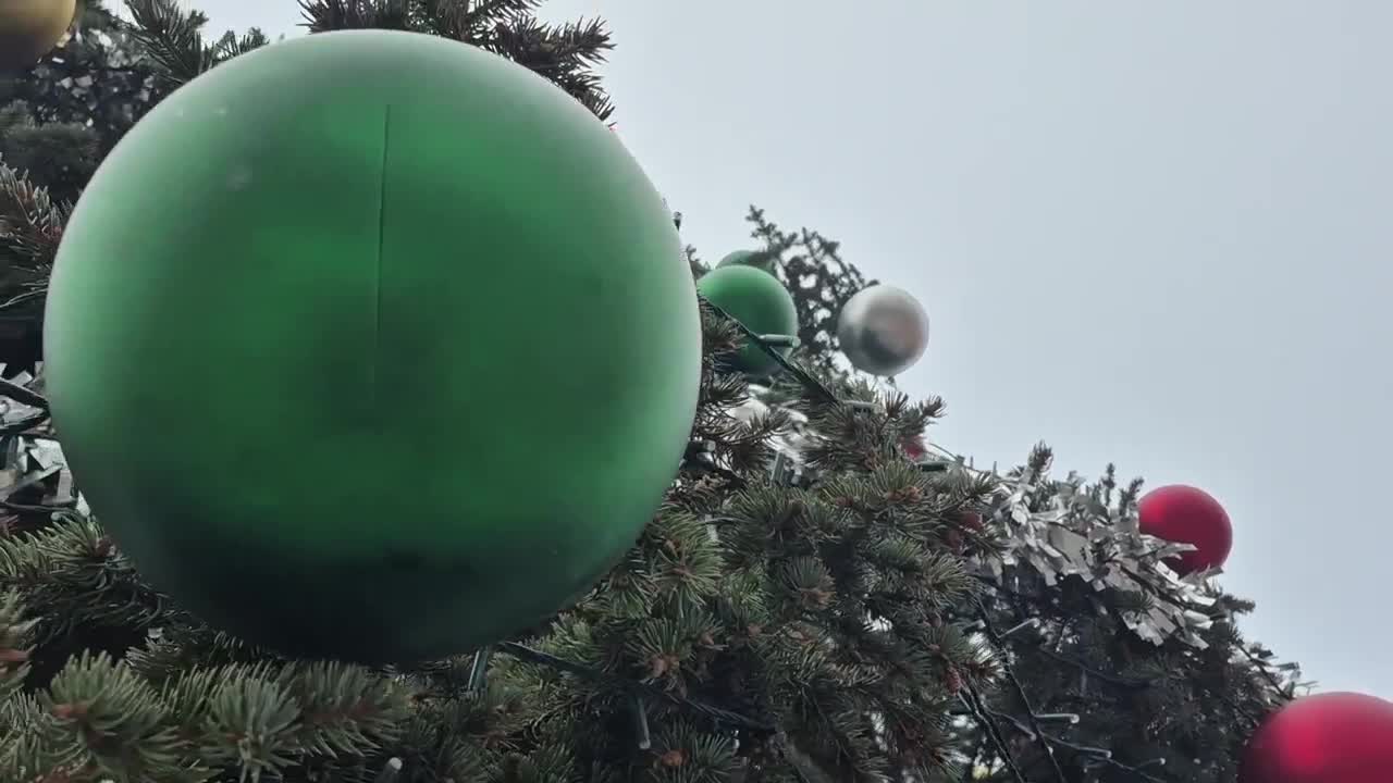 Squirrels knock out Nampa's 22,000 Christmas lights in weekend sabotage