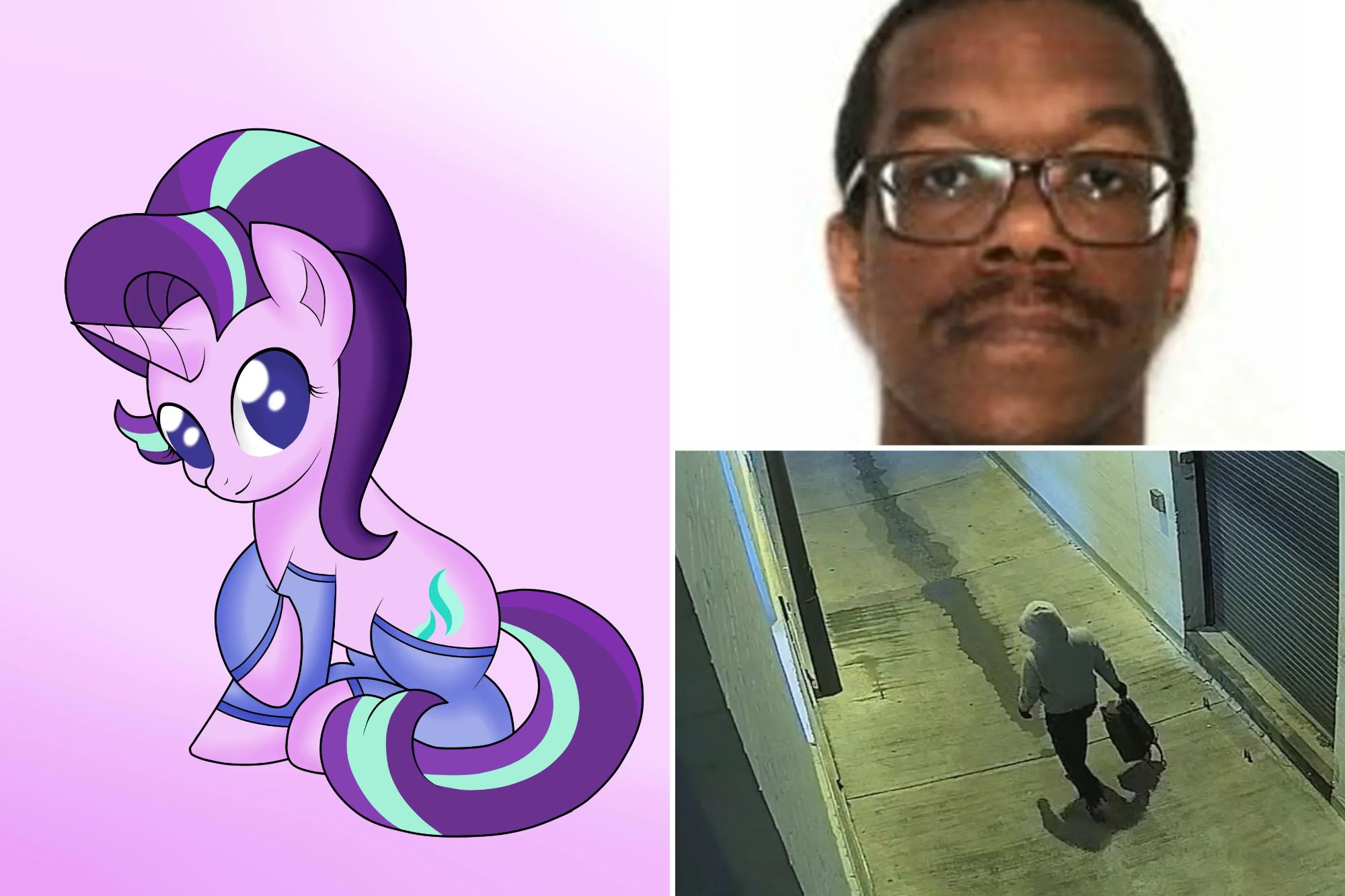 DC pipe-bomb suspect Brian Cole Jr. has secret online life obsessing ...