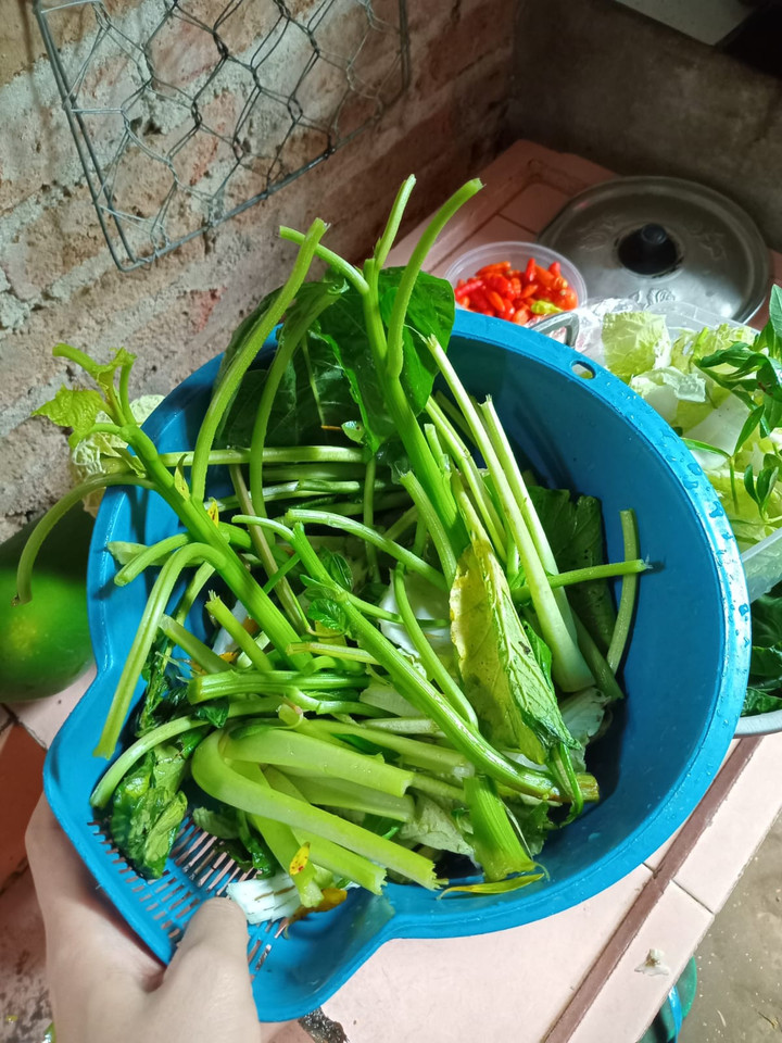 Sampah dapur lebih bernilai: Solusi zero waste dan pengolahan hemat ...