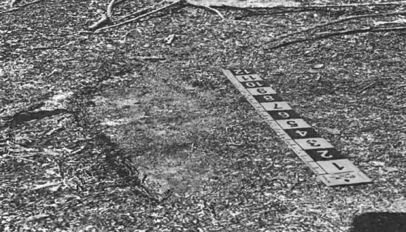 Affidavit images raise questions about suspect in 2024 Alexander ...