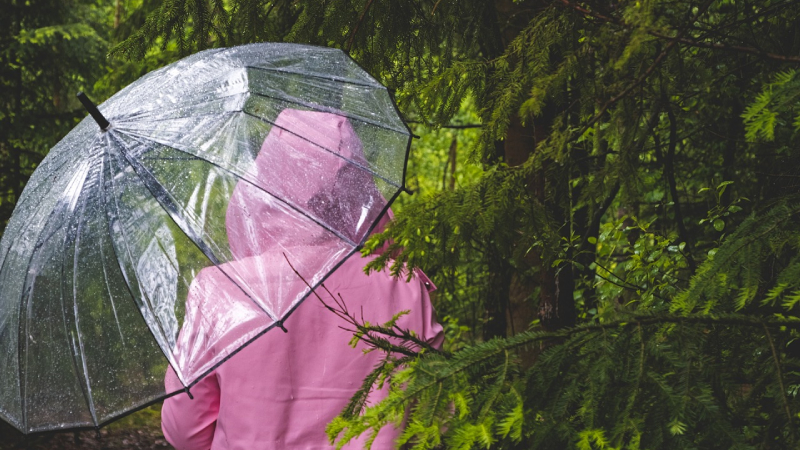 Meteoroloji'den 4 il için sarı kodlu alarm: Kuvvetli yağış ve rüzgâra ...
