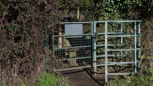 Homeowner infuriated by neighbor's failure to control animals: 'He won ...