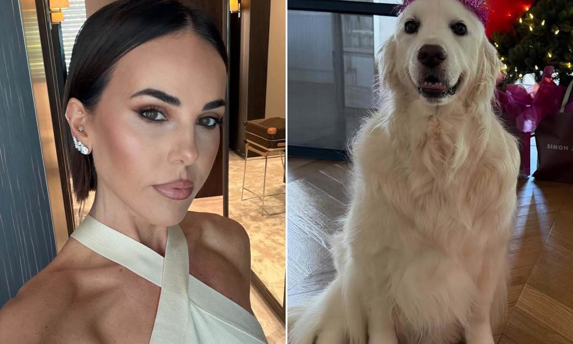 Melbourne socialite feeds her dog a five-star meal and gives him Hermes ...