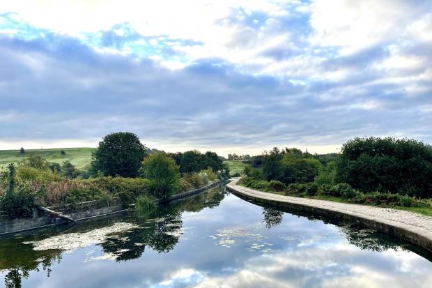 Wildlife Trust urges public to donate just £1 to stop animals becoming ...