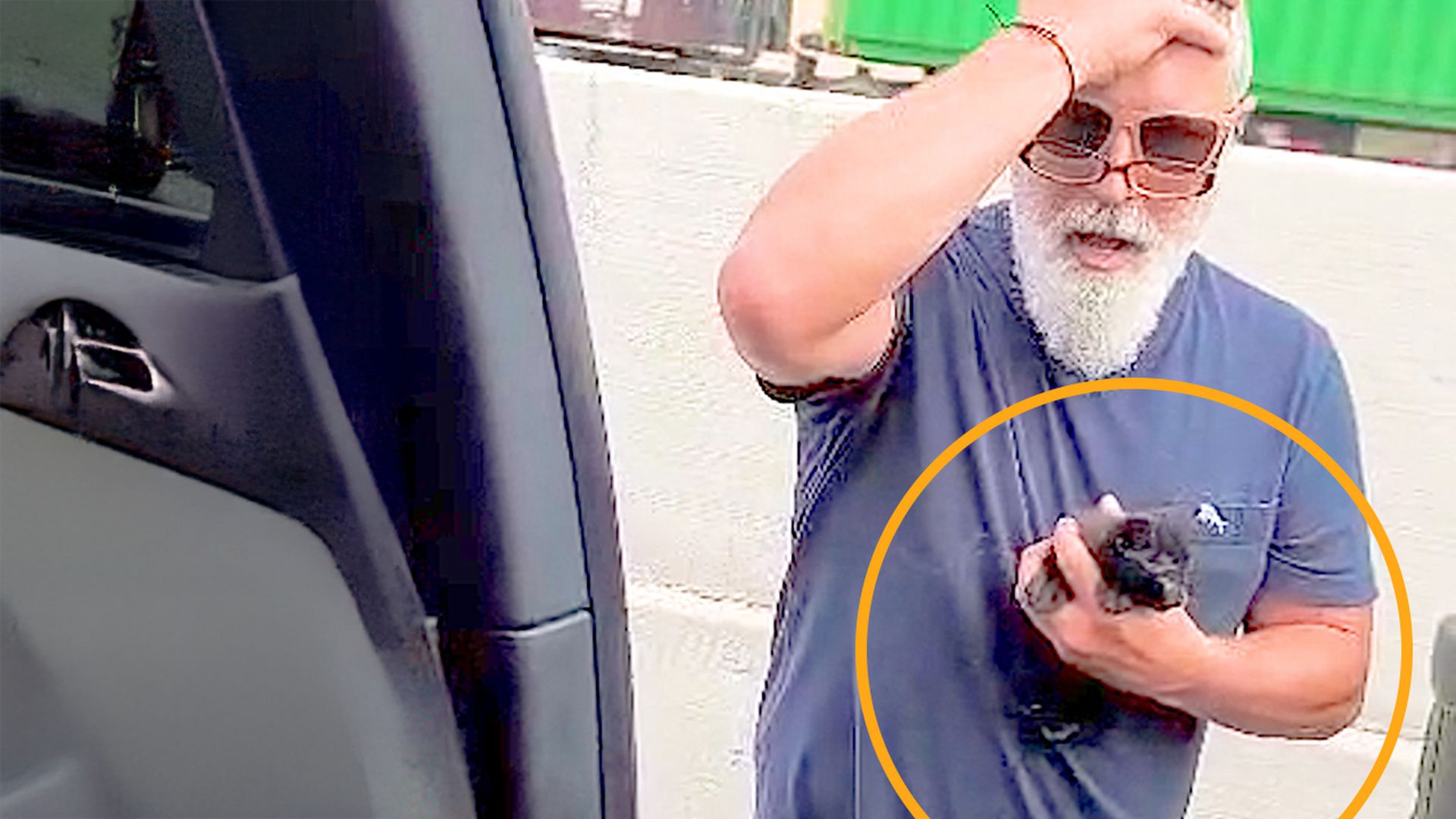 Tiny kitten on the highway gets spotted by the exact right people
