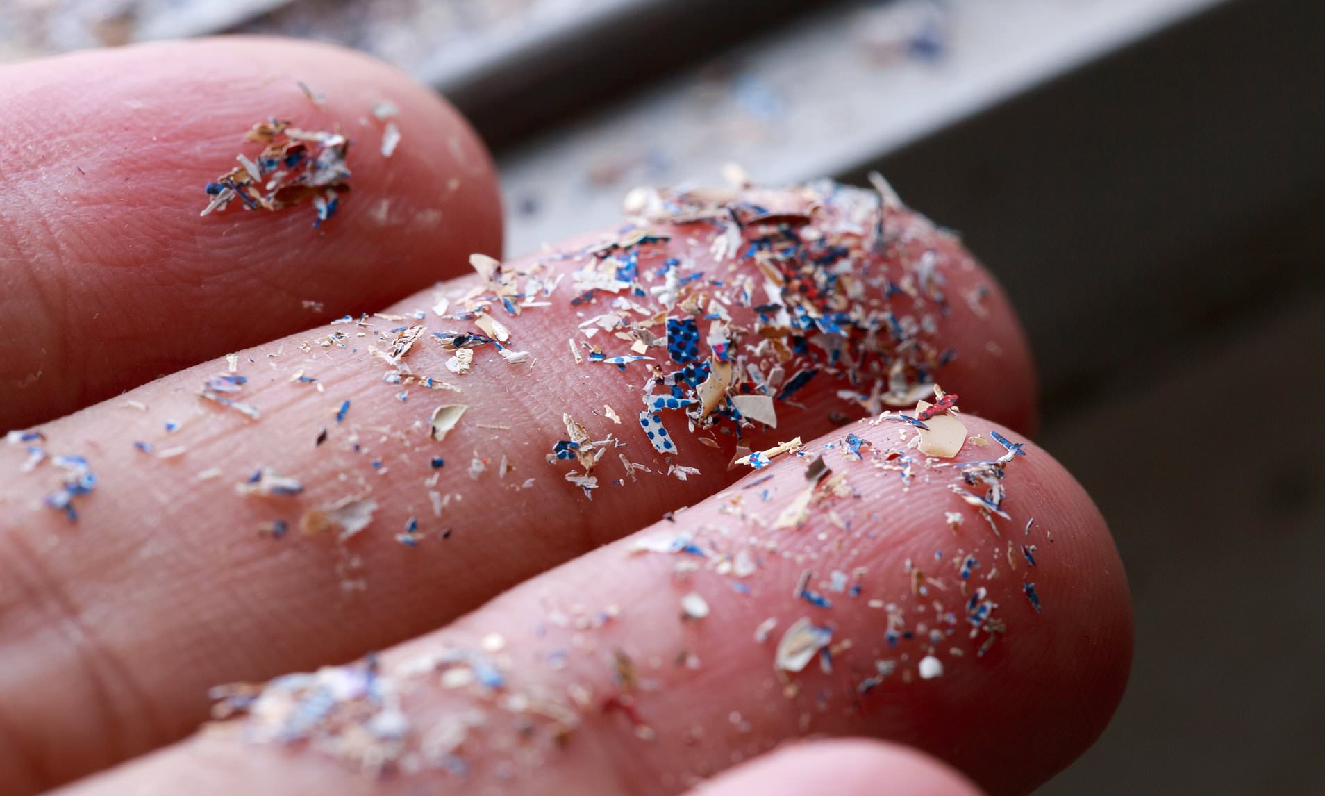 Australian research makes shocking discovery: The common household ...