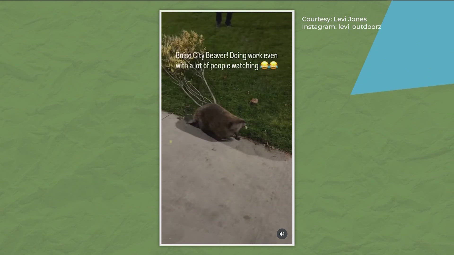 The 208: Why did the beaver cross the Greenbelt?