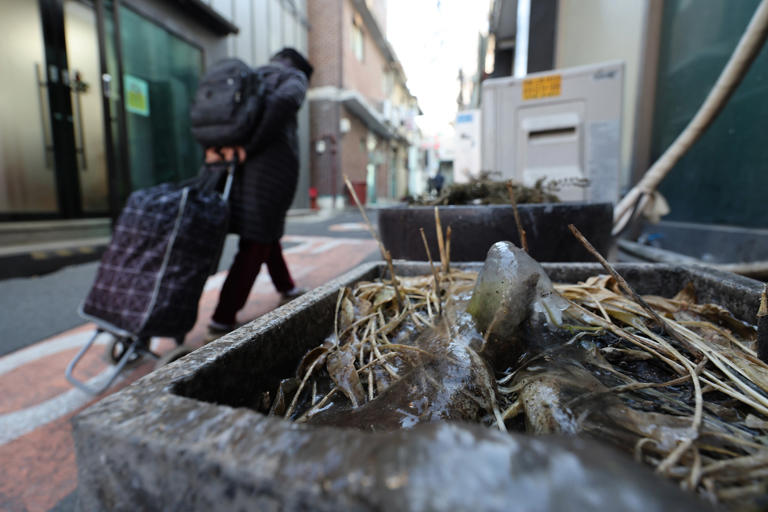 South Korea's elderly single households outnumber young