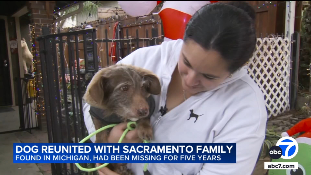 CA dog reunited with family nearly 5 years after he disappeared, found ...