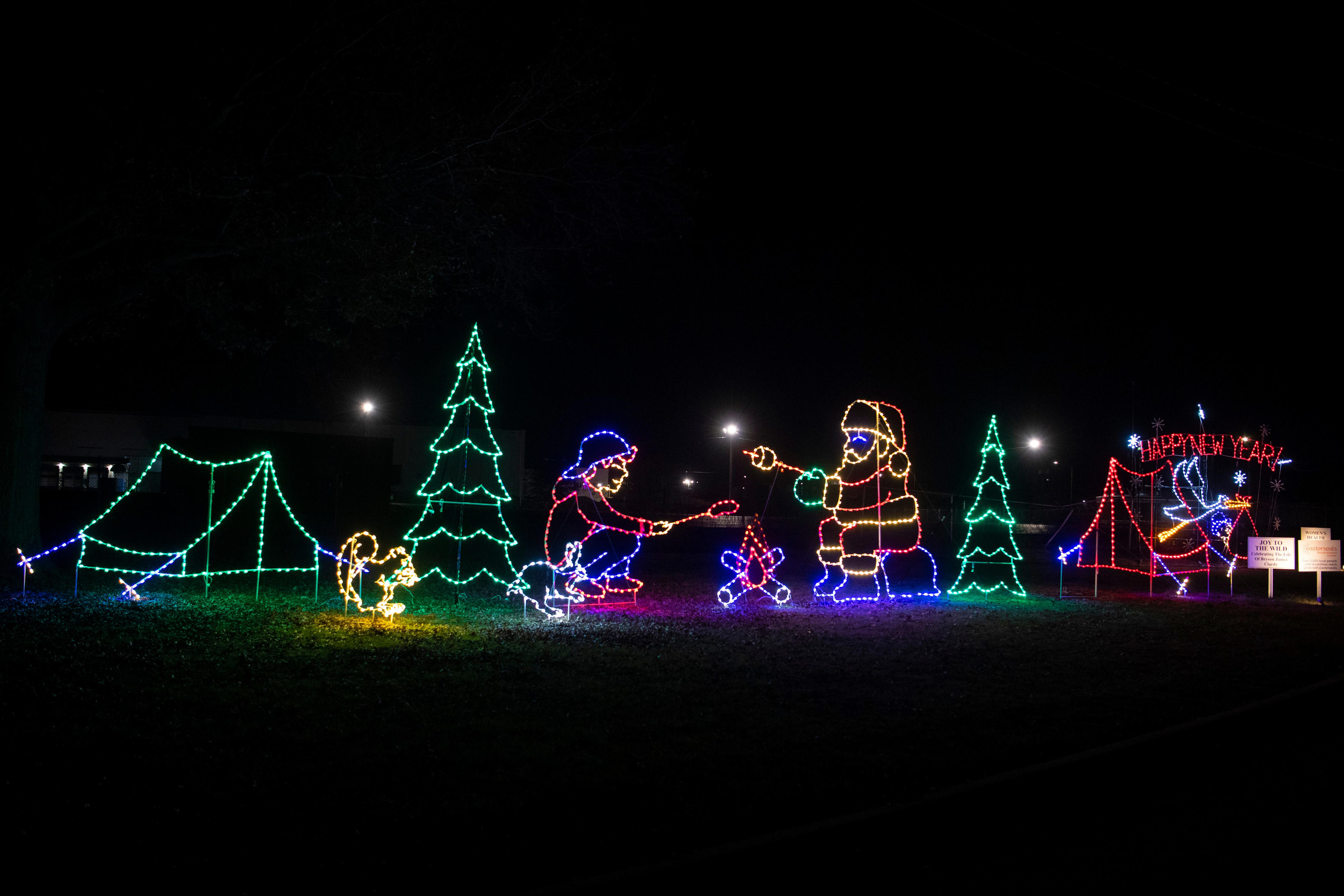 Easterseals light show raises record $239K for local programs