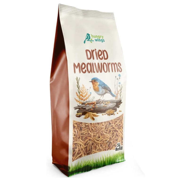 1 fruit you should leave in your bird feeder if you want robins to ...