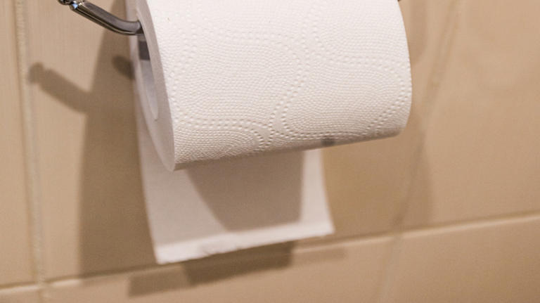 12 types of toilet paper holders that might be perfect for your bathroom