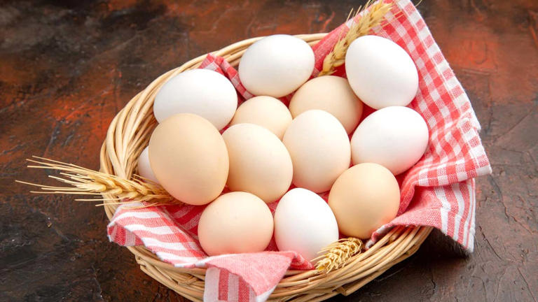 Eggoz cancer controversy explained: Should you really worry and what ...