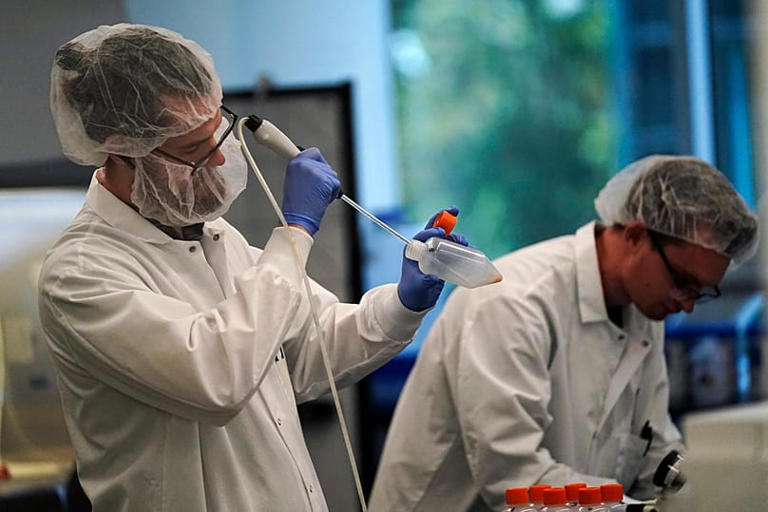 Viral posts mislead on Italy's 'lab-grown meat' ban
