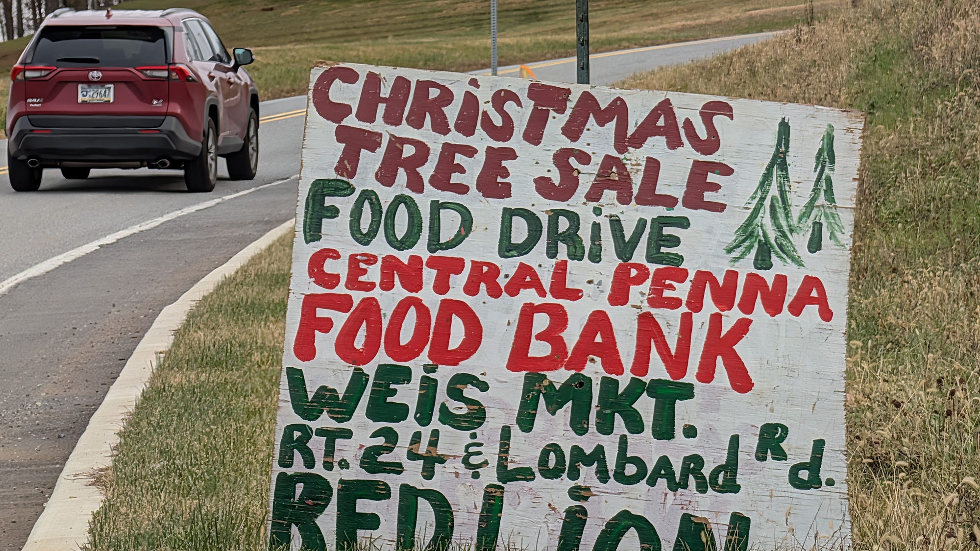The fascinating story behind these iconic York County tree sale signs